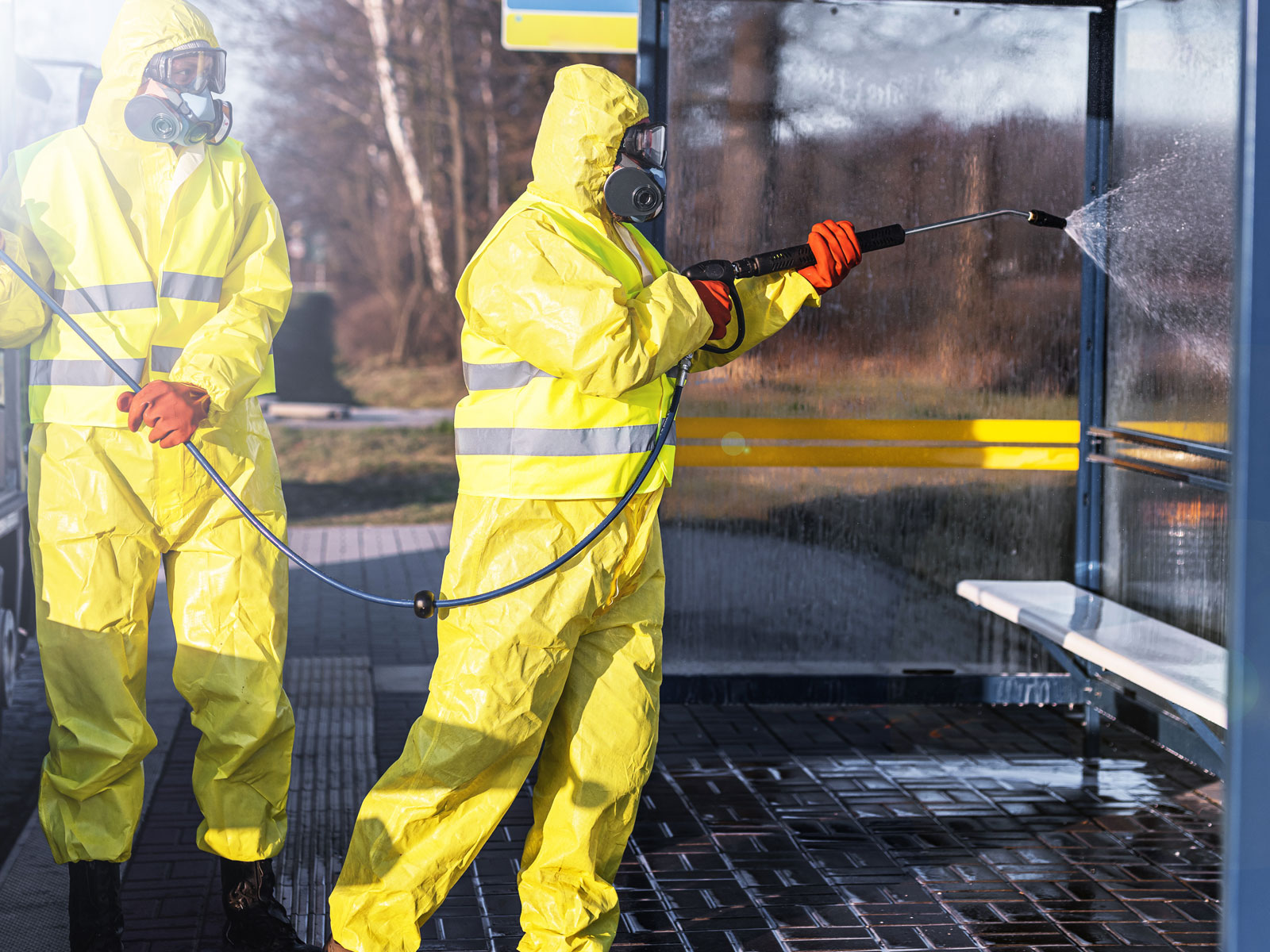 Servicios de desinfección – Sidream Servicios